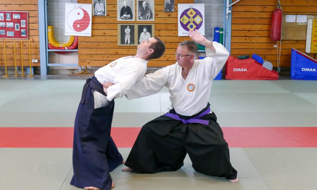 Wa Jutsu Du Thor: Ju Jutsu Japonaise – CFIN